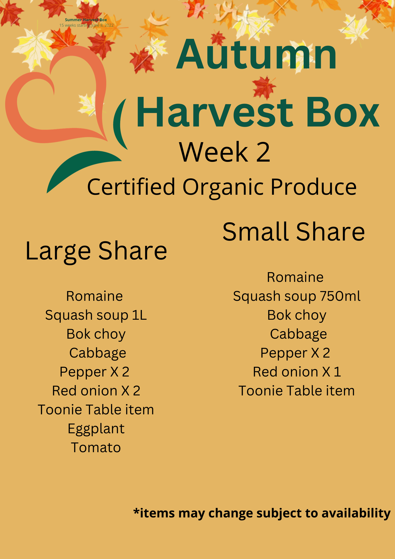 Autumn Harvest Box Wk 2 – Shared Harvest Farm