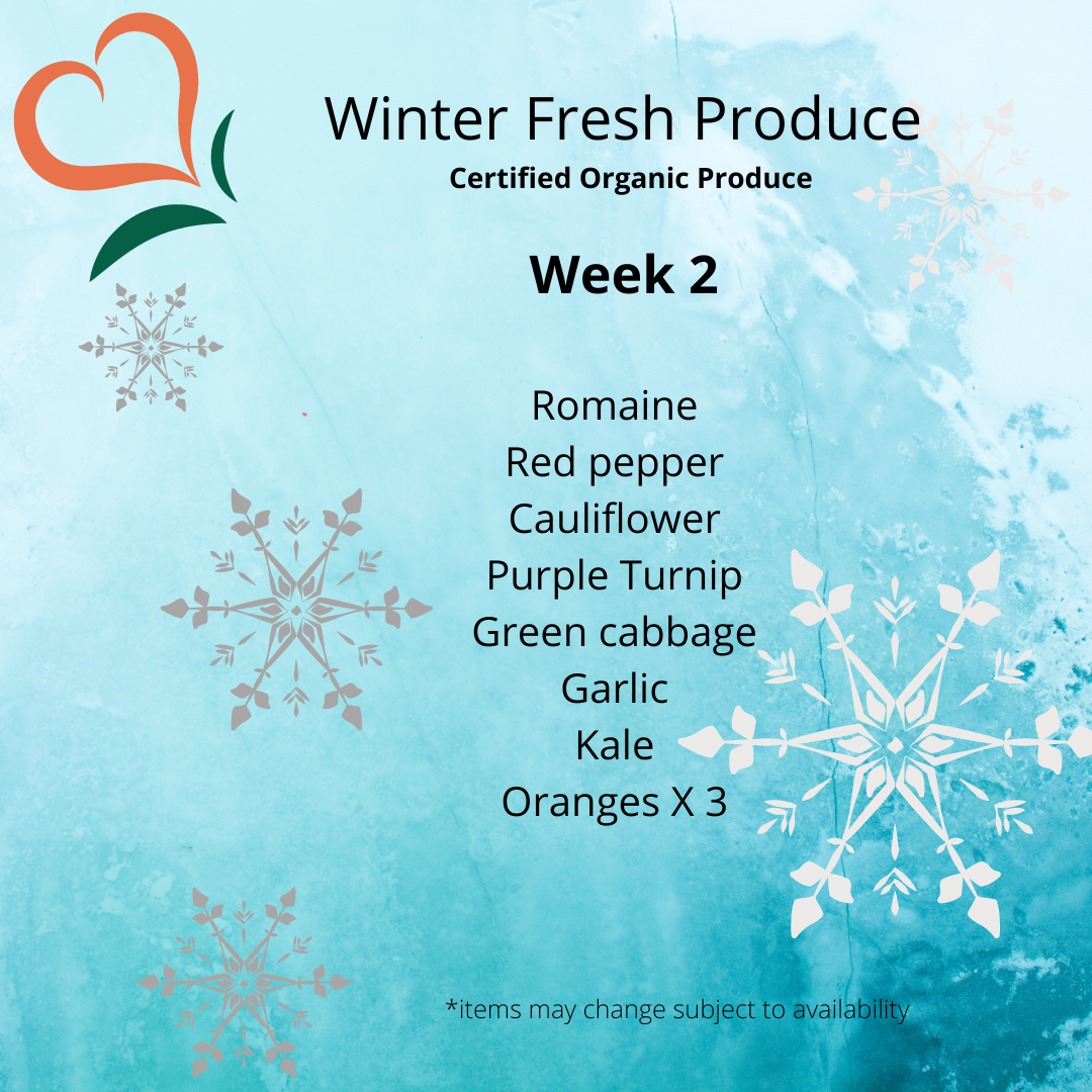 Winter Fresh Wk2 – Shared Harvest Farm