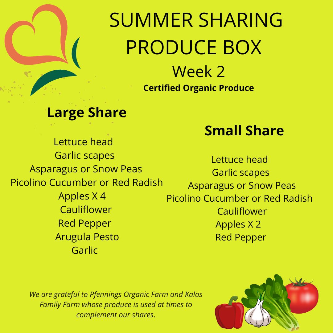 Summer Sharing Produce Box Wk 2 – Shared Harvest Farm