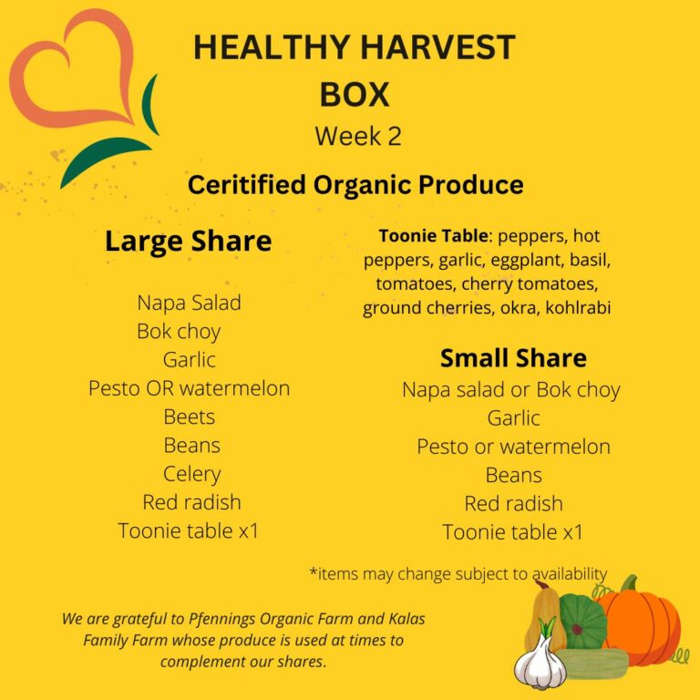 Healthy Harvest Box Wk 2 – Shared Harvest Farm