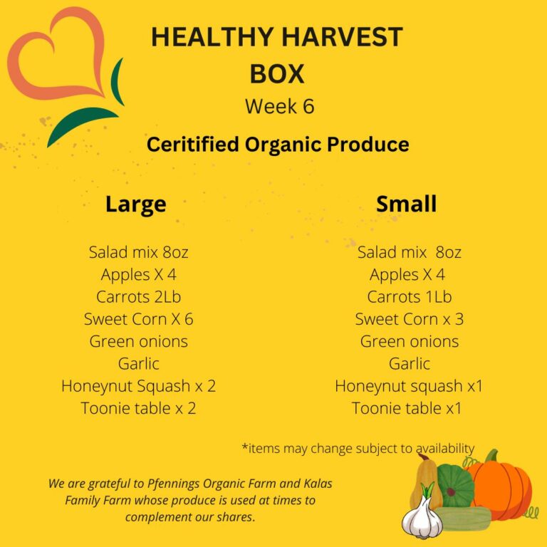 Healthy Harvest Box Wk 6 – Shared Harvest Farm