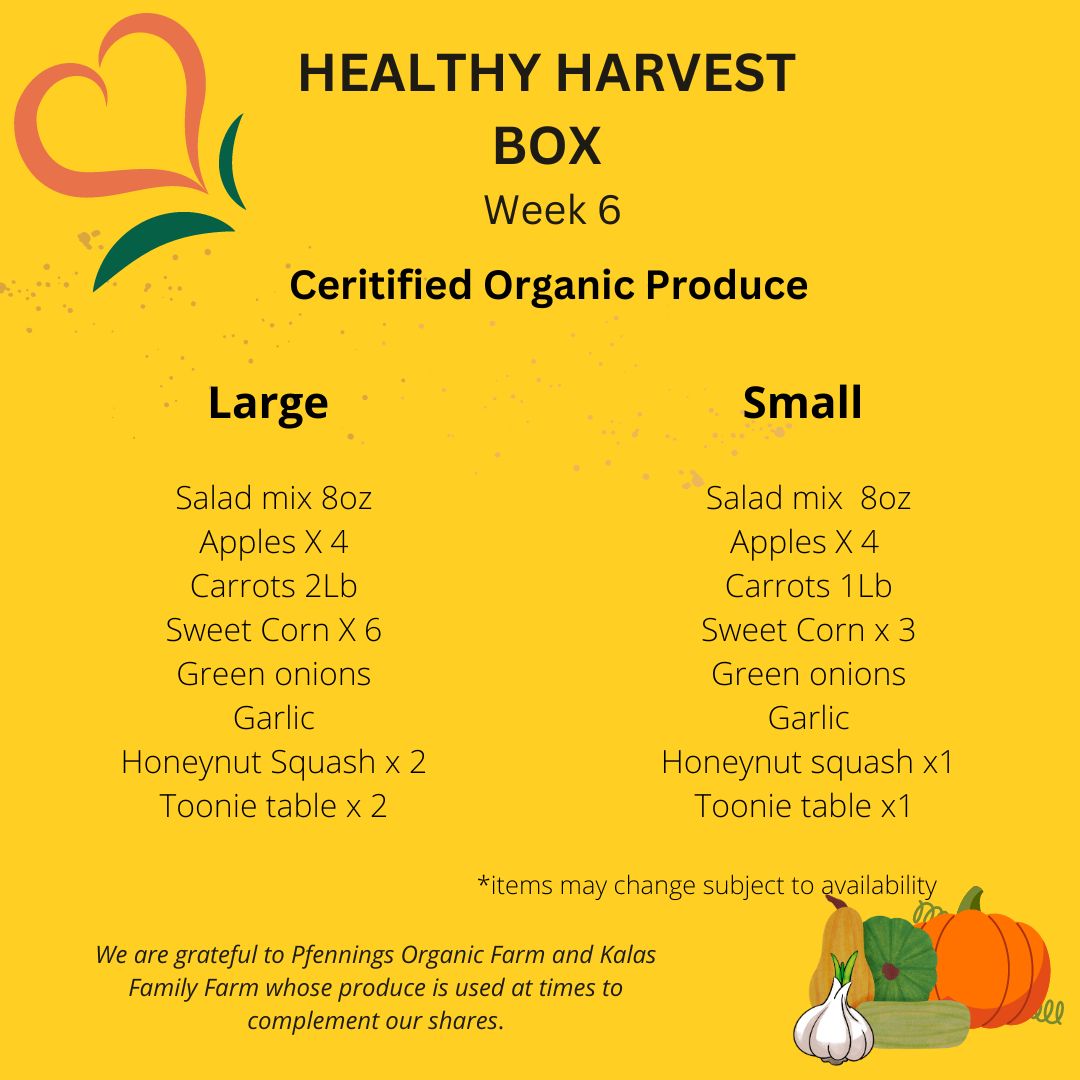 Healthy Harvest Box Wk 6 – Shared Harvest Farm