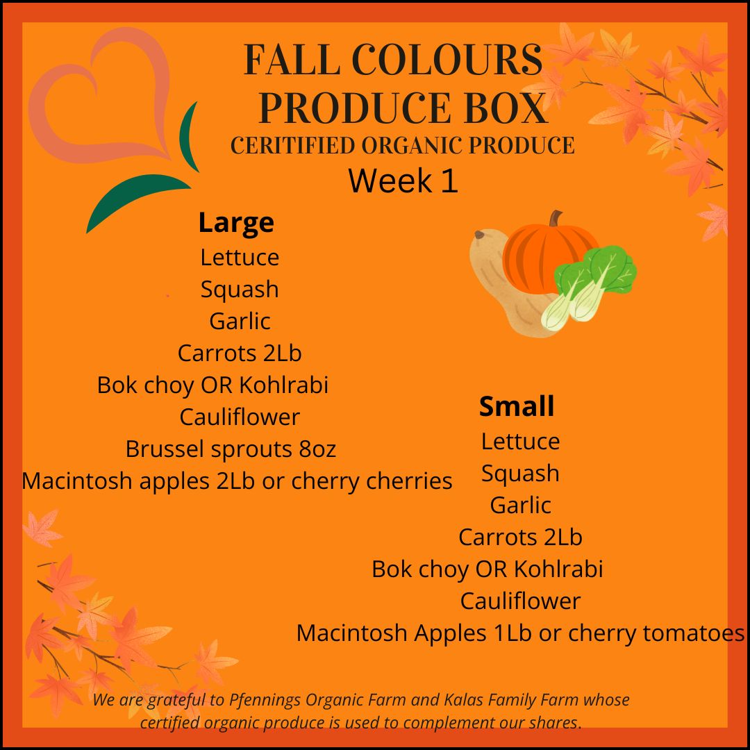 Fall Colours Produce Box Wk 1 – Shared Harvest Farm